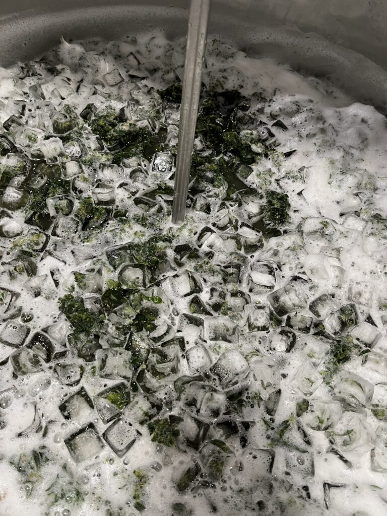 The Story Behind Six-Star Hash at PNW Roots - Hashtek